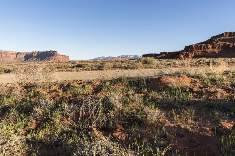 Road Through Utah Wilderness: Mountain Landforms and Vegetation HDRi ...