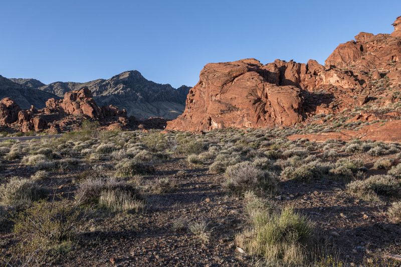 Rocky Desert Landscape in Nevada, USA HDRi Maps and Backplates