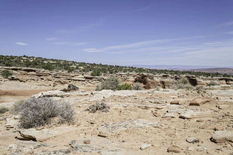 View from Above of Rocky Terrain and Mountains with Sparse Shrub ...