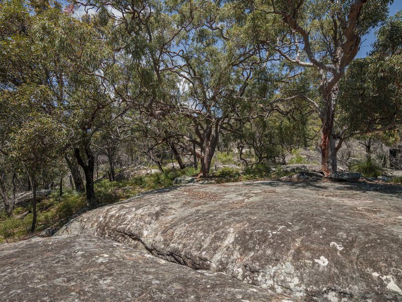 Rugged Landscape with Large Rock, Trees, and Vegetation HDRi Maps and ...