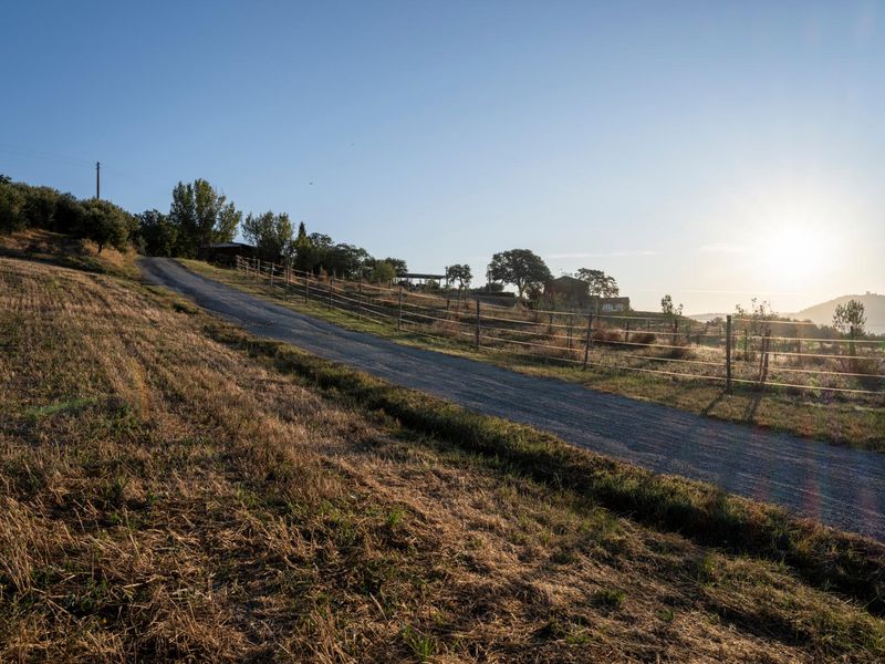 Rugged Road in Rural Tuscany: Bathed in Sunshine HDRi Maps and Backplates