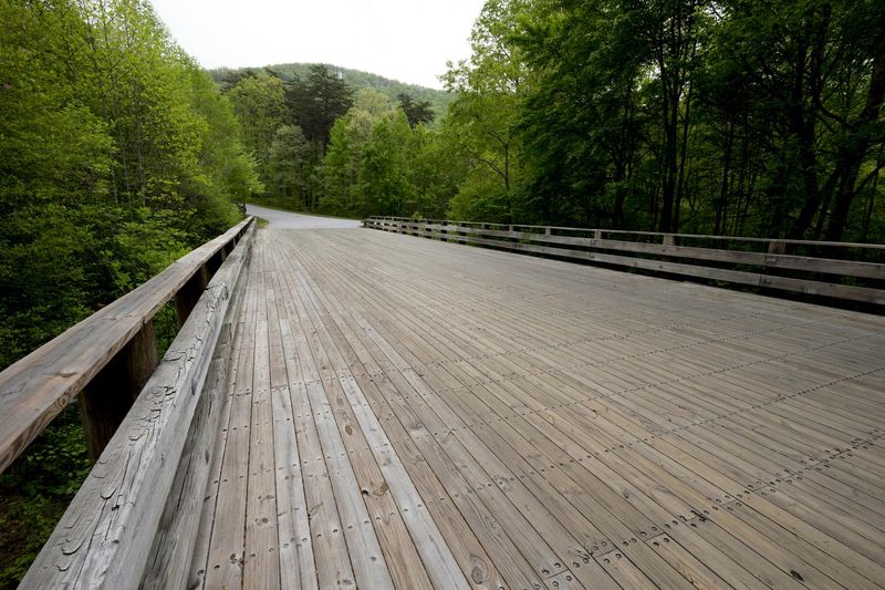 A Rural Bridge: Wooden Boardwalk Amidst Vegetation HDRi Maps and Backplates