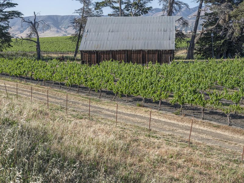 Rural California: Barn, Vineyard, and Mountain Peaks HDRi Maps and ...