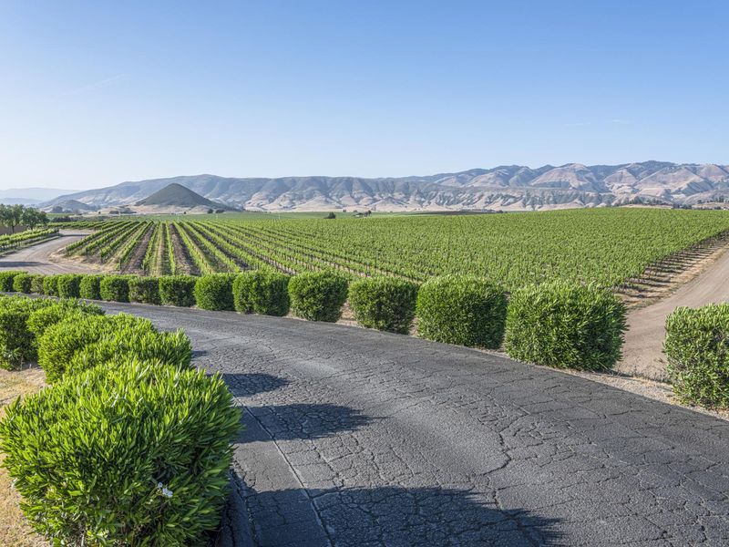 Rural California: Road Across the Asphalt HDRi Maps and Backplates