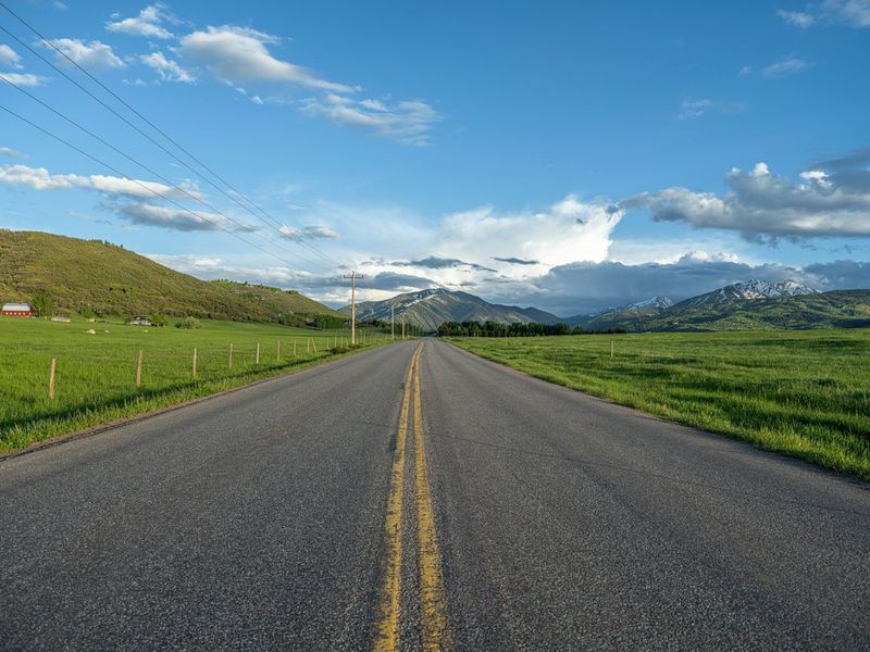 Rural Colorado at Dawn: Lush Greenery and Mountain View