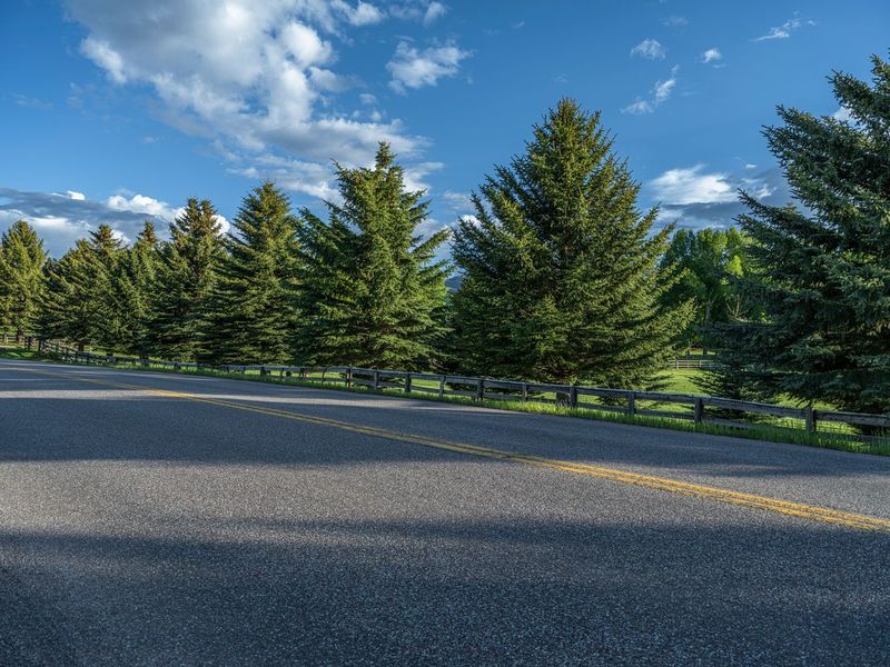 Rural Colorado Landscape: Greenery and Aspen Trees HDRi Maps and Backplates