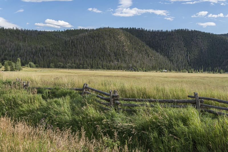 Rural Colorado: Nature's Beauty in a Field HDRi Maps and Backplates