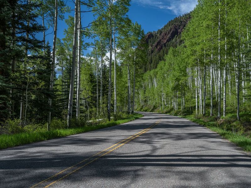 Rural Colorado Road: Aspen Shadows and Clouds HDRi Maps and Backplates