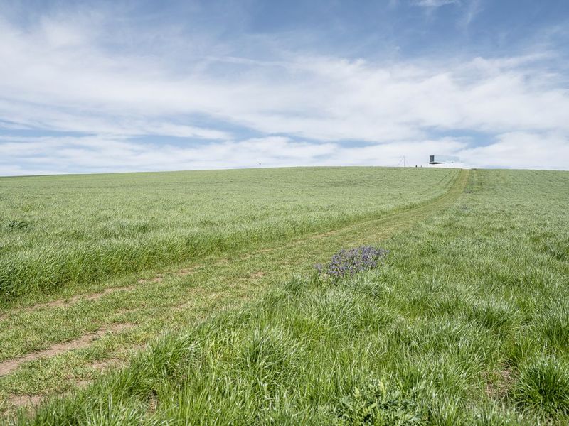 Rural Germany Landscape: Grassy Field HDRi Maps and Backplates