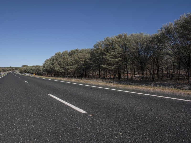 Rural Highway with Trees and Vegetation Landscape HDRi Maps and Backplates