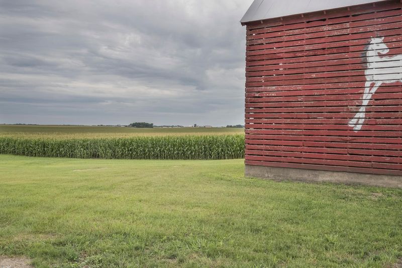 Rural Iowa: A Pasture Field HDRi Maps and Backplates