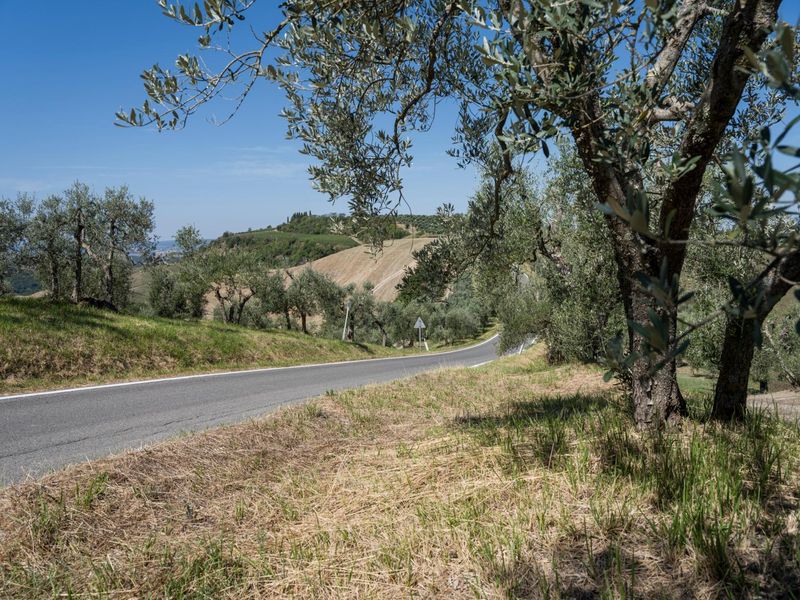 Rural Italian Countryside in Tuscany with Clear Sky HDRi Maps and ...