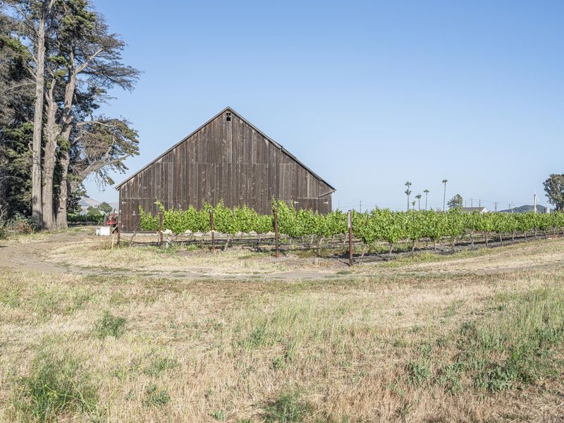 Rural Land Lot in California: Clear Skies and Serene Views HDRi Maps ...