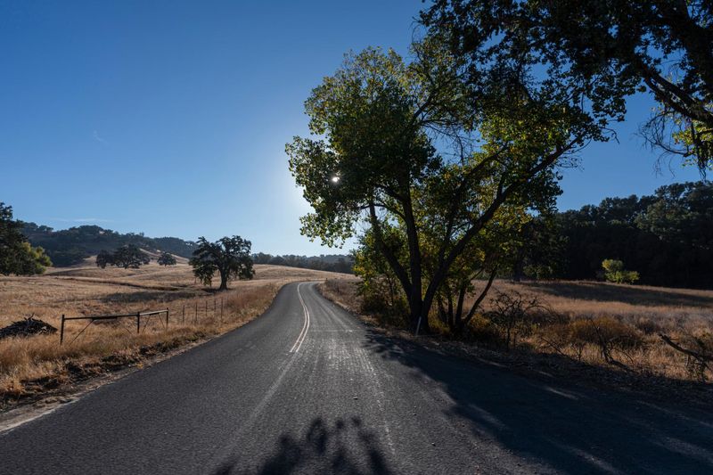 Rural Landscape: Agriculture and Trees on a Farm HDRi Maps and Backplates