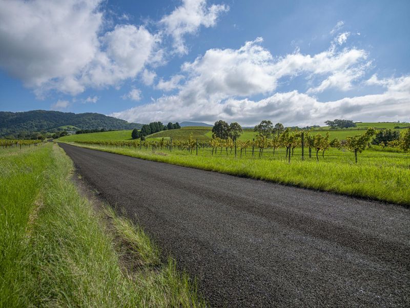 Rural Landscape: Asphalt Road through a Farm Field HDRi Maps and Backplates