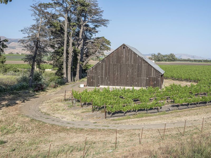 Rural Landscape in California, USA HDRi Maps and Backplates