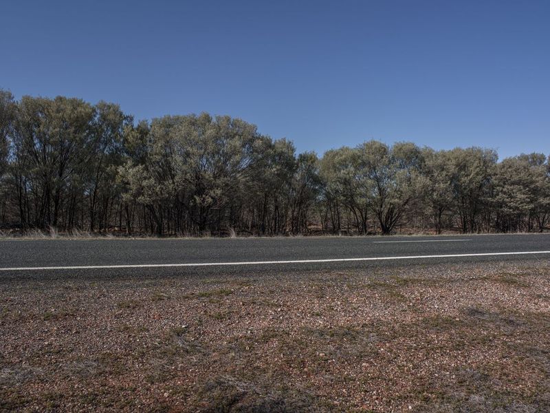 Rural Landscape with Clear Sky and Trees HDRi Maps and Backplates