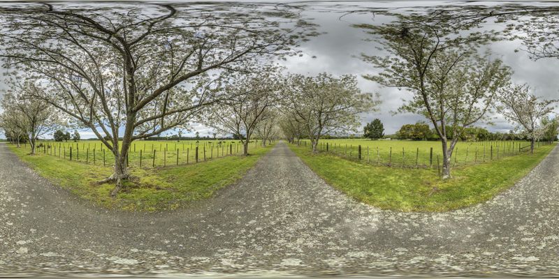 Rural Landscape on a Distorted View: Road and Trees HDRi Maps and ...