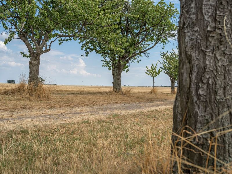Rural Landscape in Germany: Dirt Road Amidst Agriculture HDRi Maps and ...