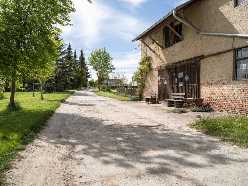 Rural Landscape in Germany with Lush Greenery HDRi Maps and Backplates