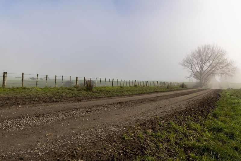 Rural Landscape in Morning Foggy Field HDRi Maps and Backplates