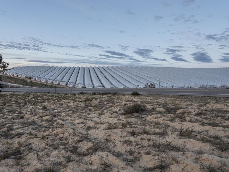 Rural Landscape in the California Plain HDRi Maps and Backplates