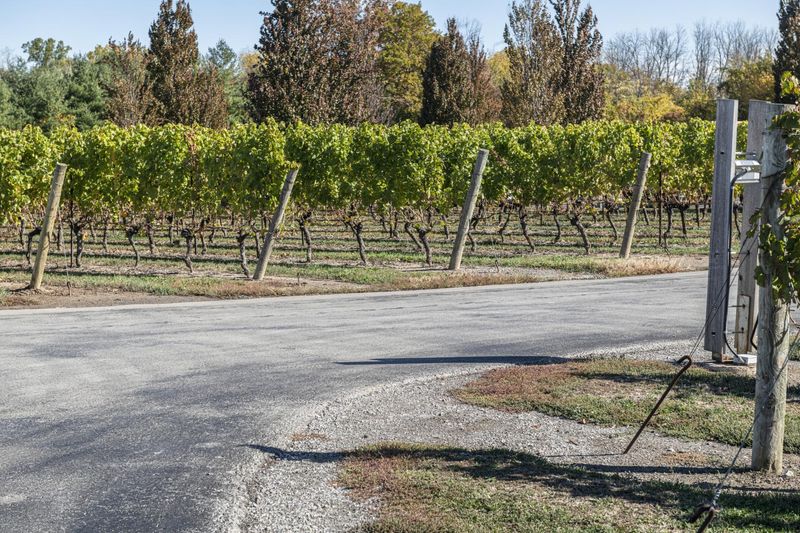Rural Landscape in Ontario, Canada: A Daytime View