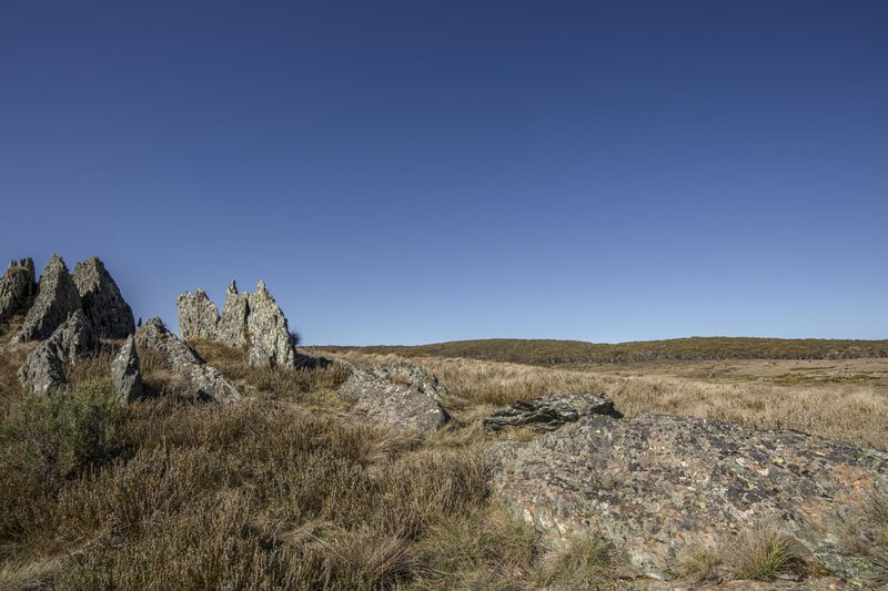 Rural Landscape: Open Grassy Area - HDRi Maps and Backplates