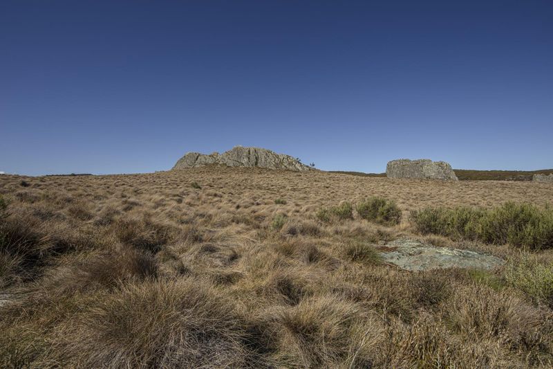 Rural Landscape with Tall Grass and Large Rocks HDRi Maps and Backplates