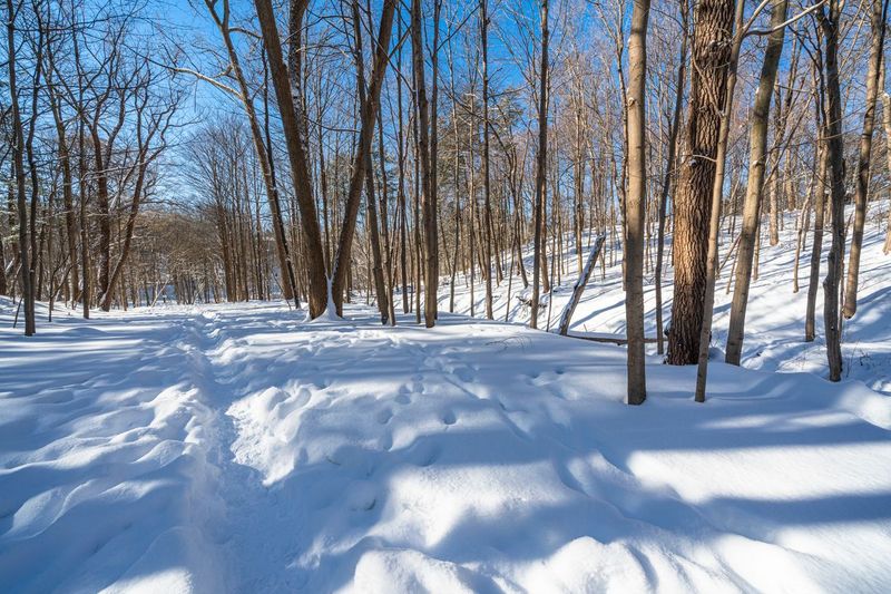 Rural Ontario in the Daytime HDRi Maps and Backplates