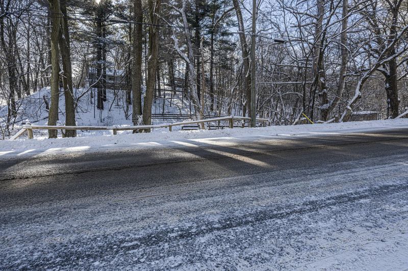 Rural Ontario Forest Road Tree HDRi Maps and Backplates