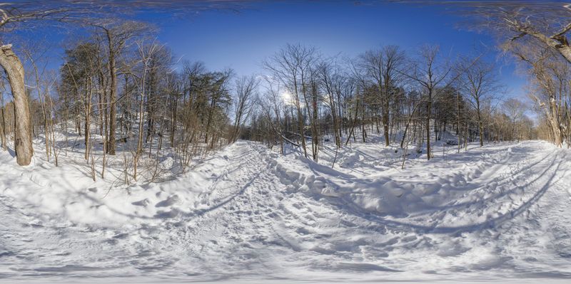 Rural Ontario: Panoramic View of Snow Covered Trees HDRi Maps and ...