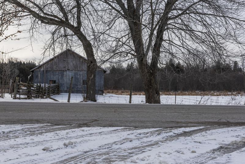 Rural Ontario Winter Scene: Barn & Bare Trees HDRi Maps and Backplates