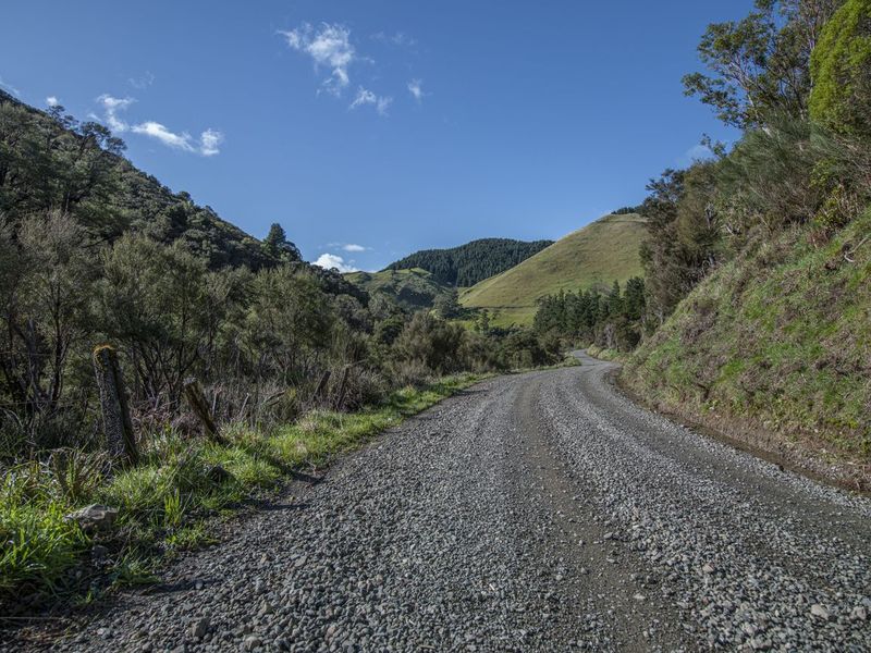 Rural Road: Asphalt and Vegetation HDRi Maps and Backplates