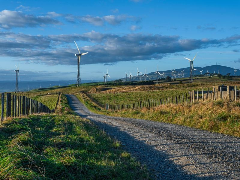 Rural Road at Dawn Amidst Agriculture and Green Fields HDRi Maps and ...