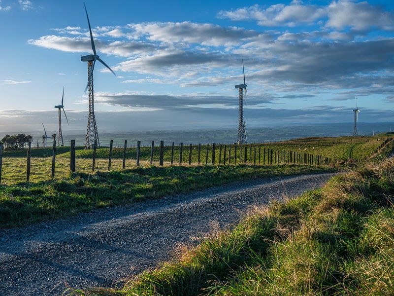 Rural Road at Dawn: Surrounded by Greenery and Agricultural Fields HDRi ...