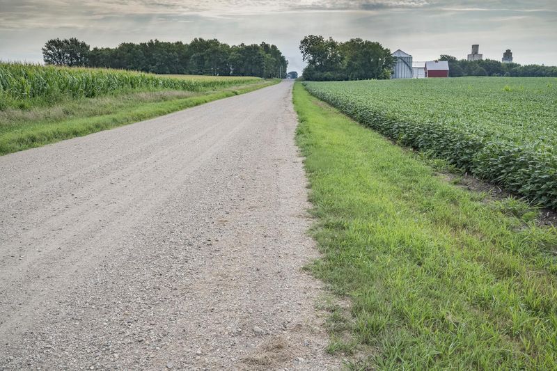Rural Road Through Iowa Fields and Crops HDRi Maps and Backplates