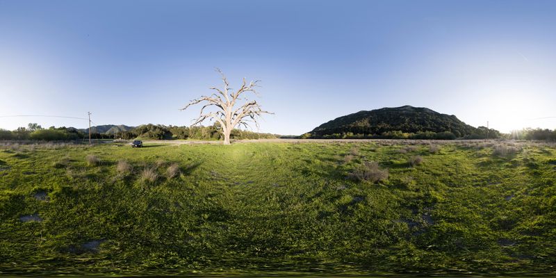 A Rural Road in Nature: A Panoramic View HDRi Maps and Backplates