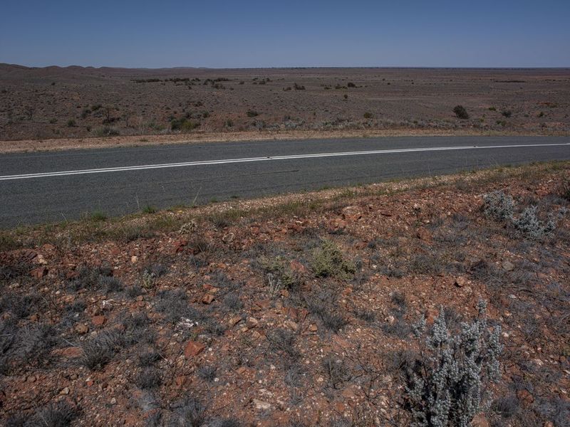 Rural Road through a Sand Plain HDRi Maps and Backplates