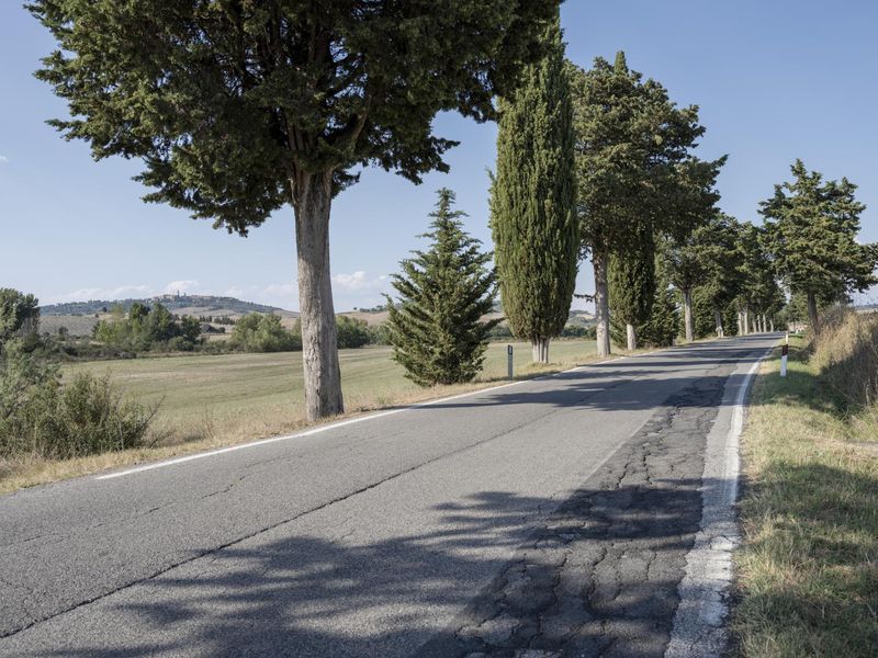 Rural Road in Tuscany, Italy: Tree Shadows Along the Lane HDRi Maps and ...