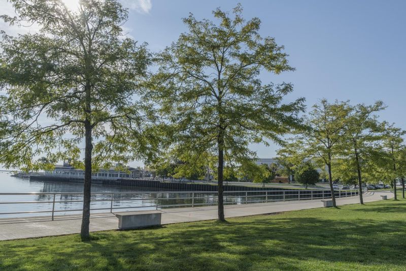 Rural Road in Wisconsin: Lush Vegetation and Charming Landscape HDRi ...