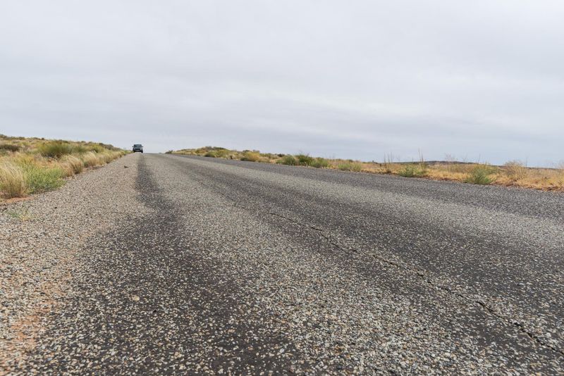 Rural Utah Landscape: Tree and Canyonlands HDRi Maps and Backplates