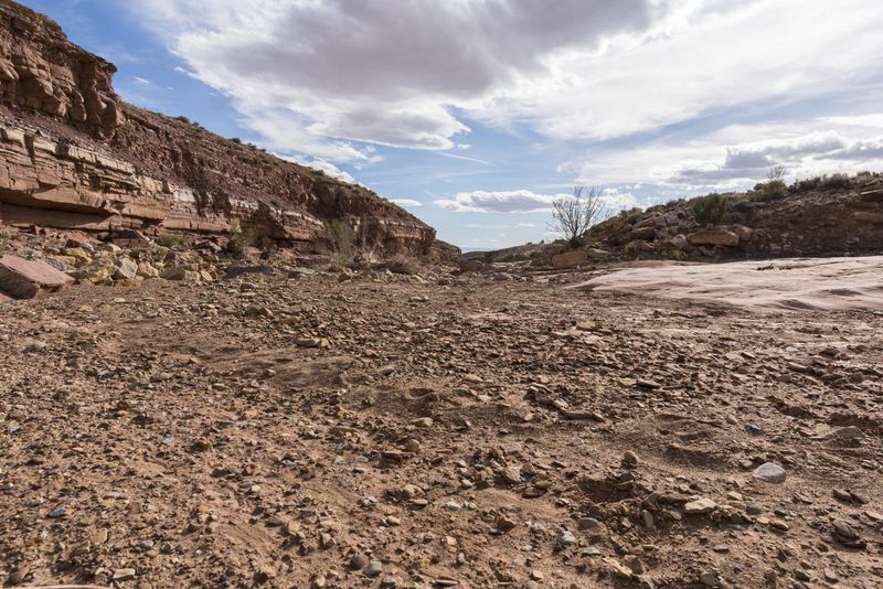 Rural Utah: Mountain Road Through Wilderness HDRi Maps and Backplates