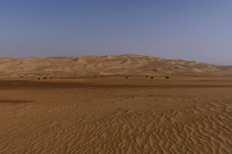Sahara Desert: Clear Sky Over a Vast Desert Landscape HDRi Maps and ...