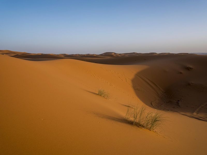 Sahara Desert in Marocco: A Beautiful Dune Landscape HDRi Maps and ...