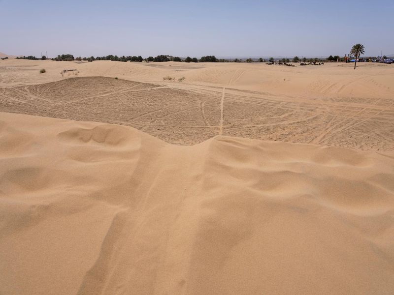 Sahara Desert in Morocco with Clear Sky and Dunes HDRi Maps and Backplates