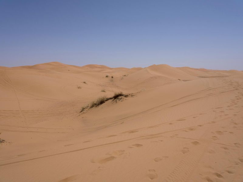 Sand Dunes of the Sahara Desert: Under a Clear Sky HDRi Maps and Backplates
