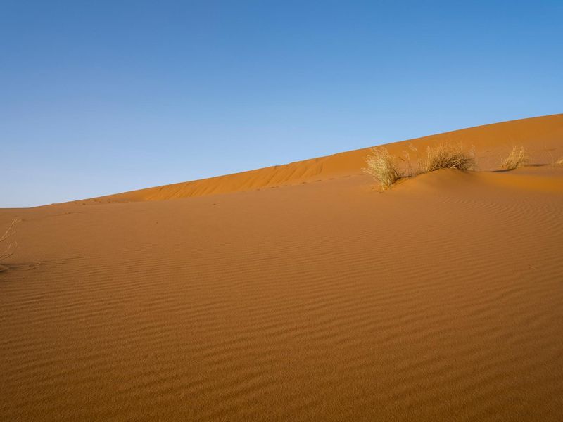 Sahara Desert Sand Dunes in Morocco HDRi Maps and Backplates