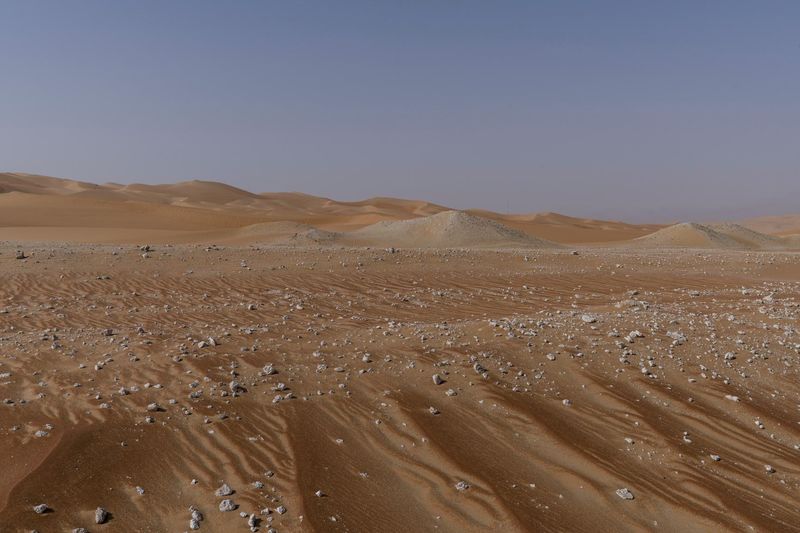 Sand Dunes Desert Adventure in the United Arab Emirates HDRi Maps and ...