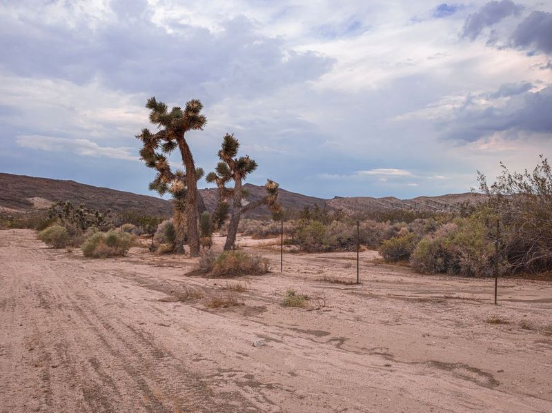 Scenic Dirt Road in California Desert with Trees and Bushes on a Cloudy ...